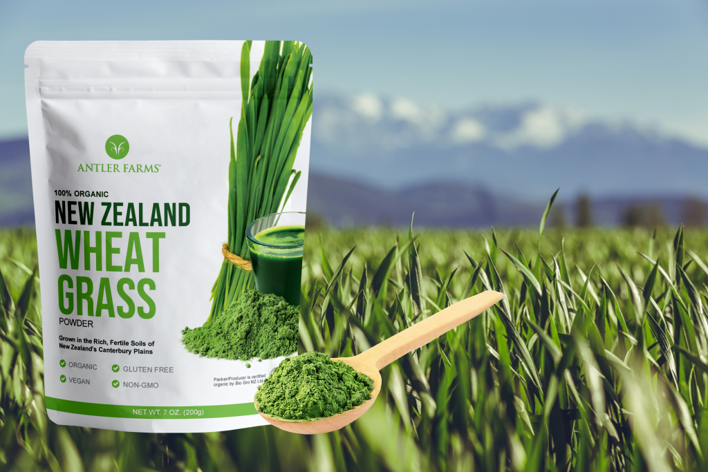 How is New Zealand Wheat Grass Grown? – New Zealand Wheat Grass